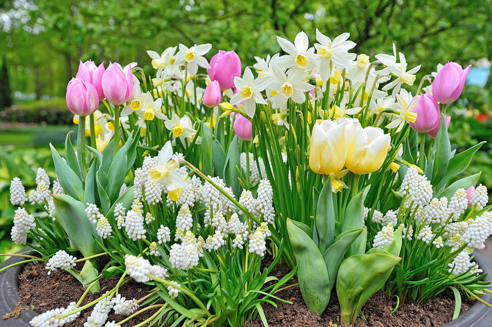 Spring Will Soon Be Springing by Katherine Crouch | Sitting Spiritually