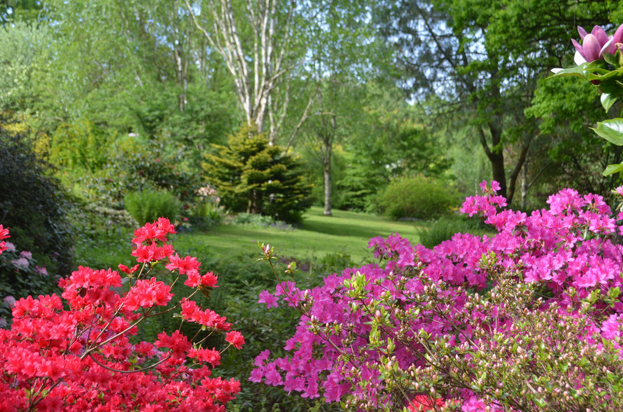 Gardens to Visit - Burrow Farm Gardens | Sitting Spiritually